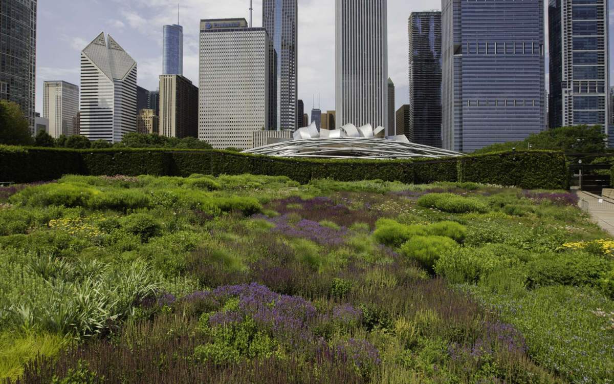 Erkunden Sie den Millennium Park in Chicago | EnjoyIllinois | Enjoy ...