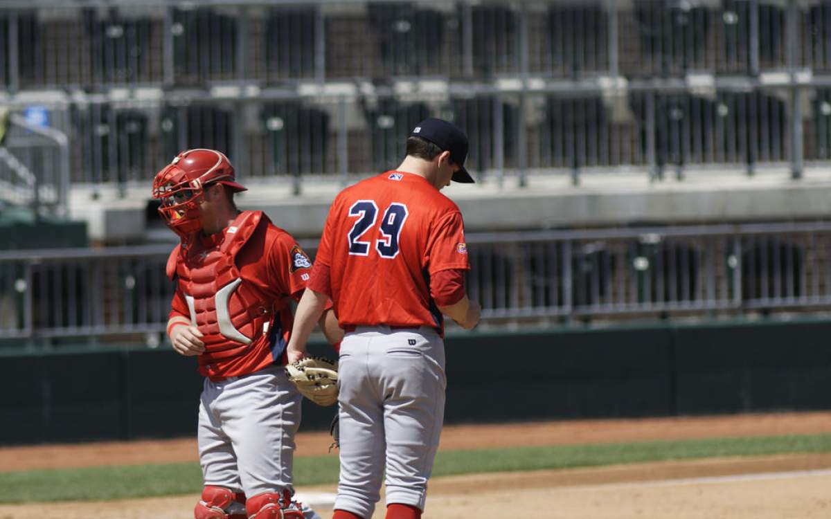 Baseball-Teams in Illinois | Enjoy Illinois