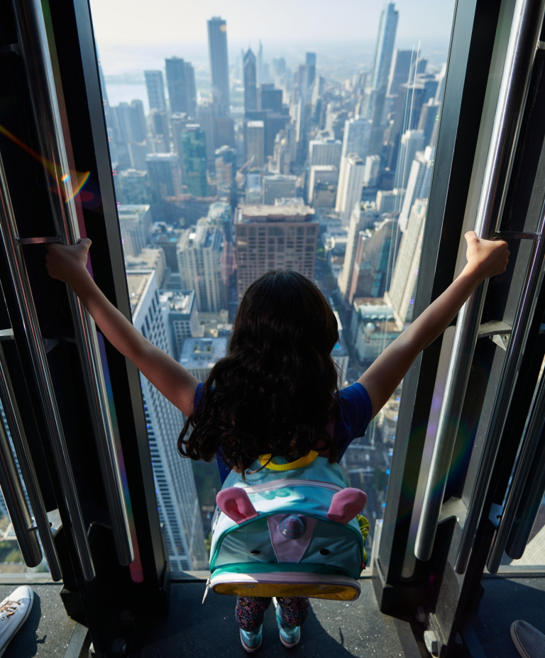 Entdecken Sie alles, was Chicago ausmacht | 3 Tage | Genießen Sie Illinois